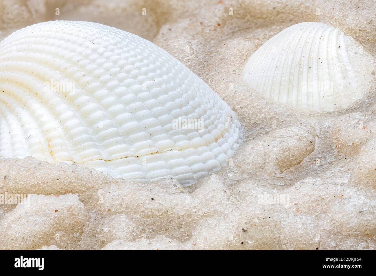 Stacking shells hi-res stock photography and images - Alamy
