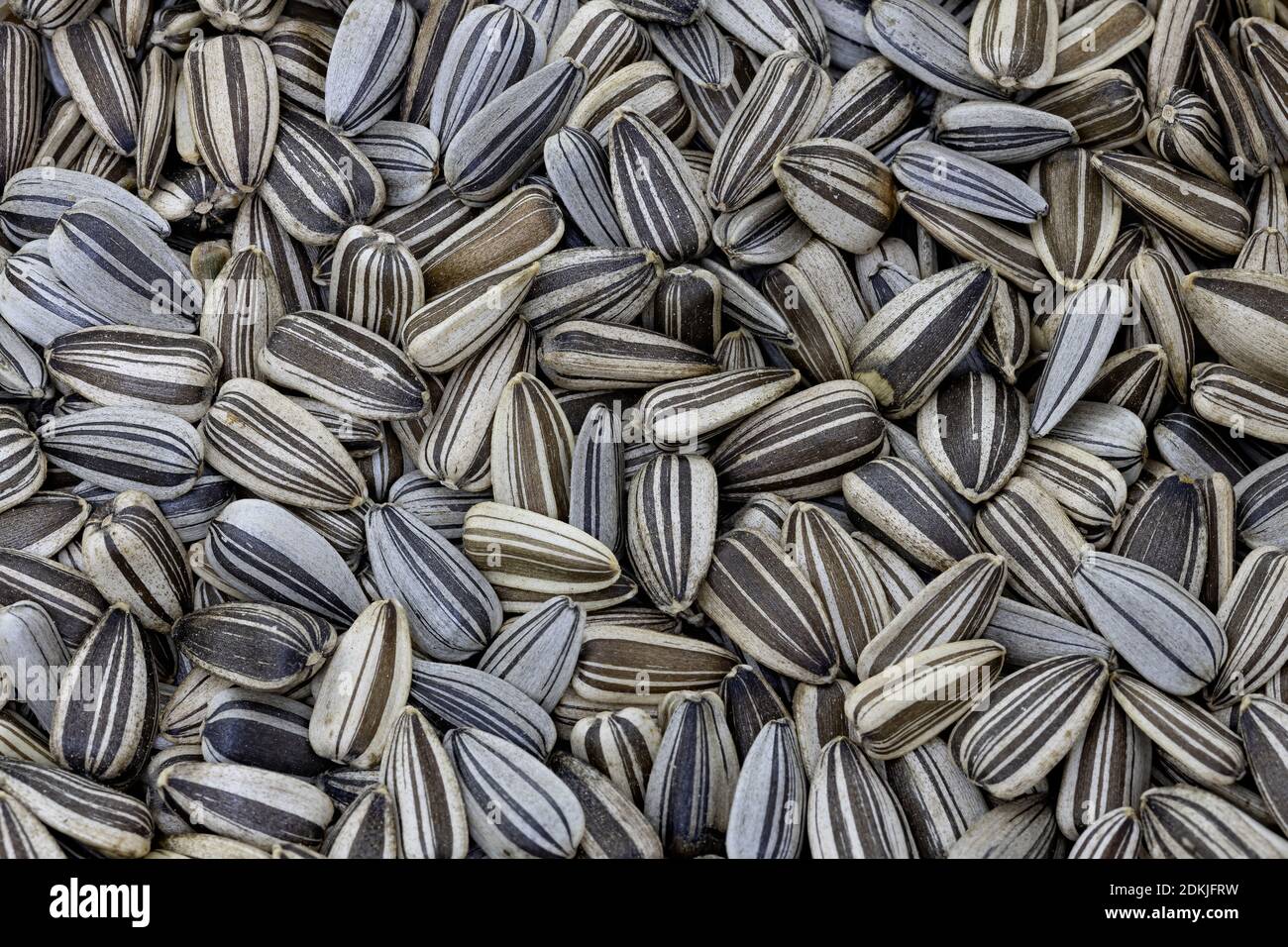 sunflower seed texture in macro Stock Photo - Alamy