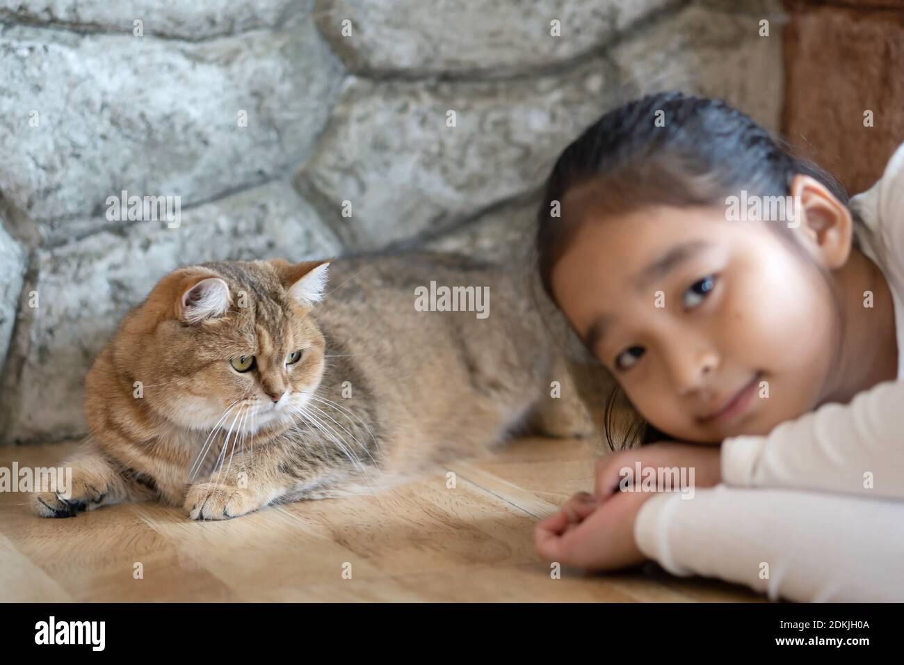 Indian girl with pet cat hi-res stock photography and images - Alamy