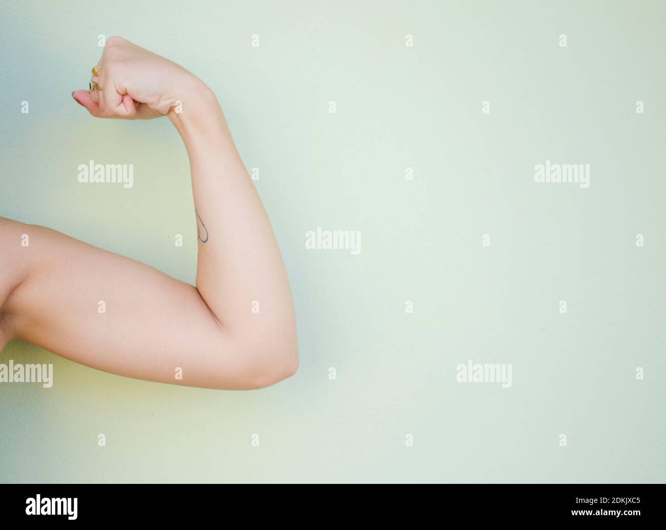 Muscles of the human hand High Resolution Stock Photography and Images ...