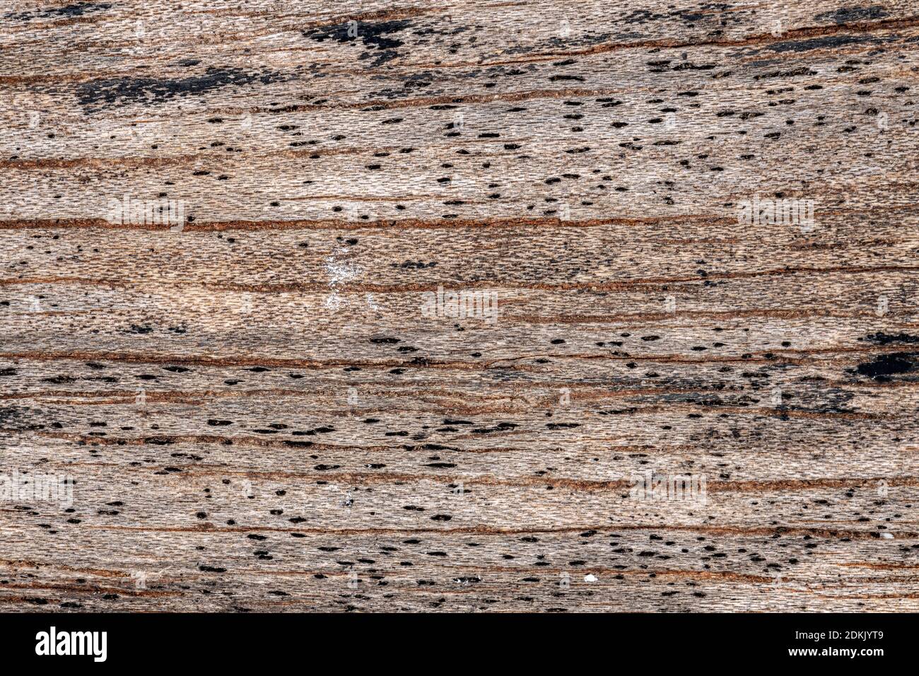 wood texture of an old ladder Stock Photo - Alamy