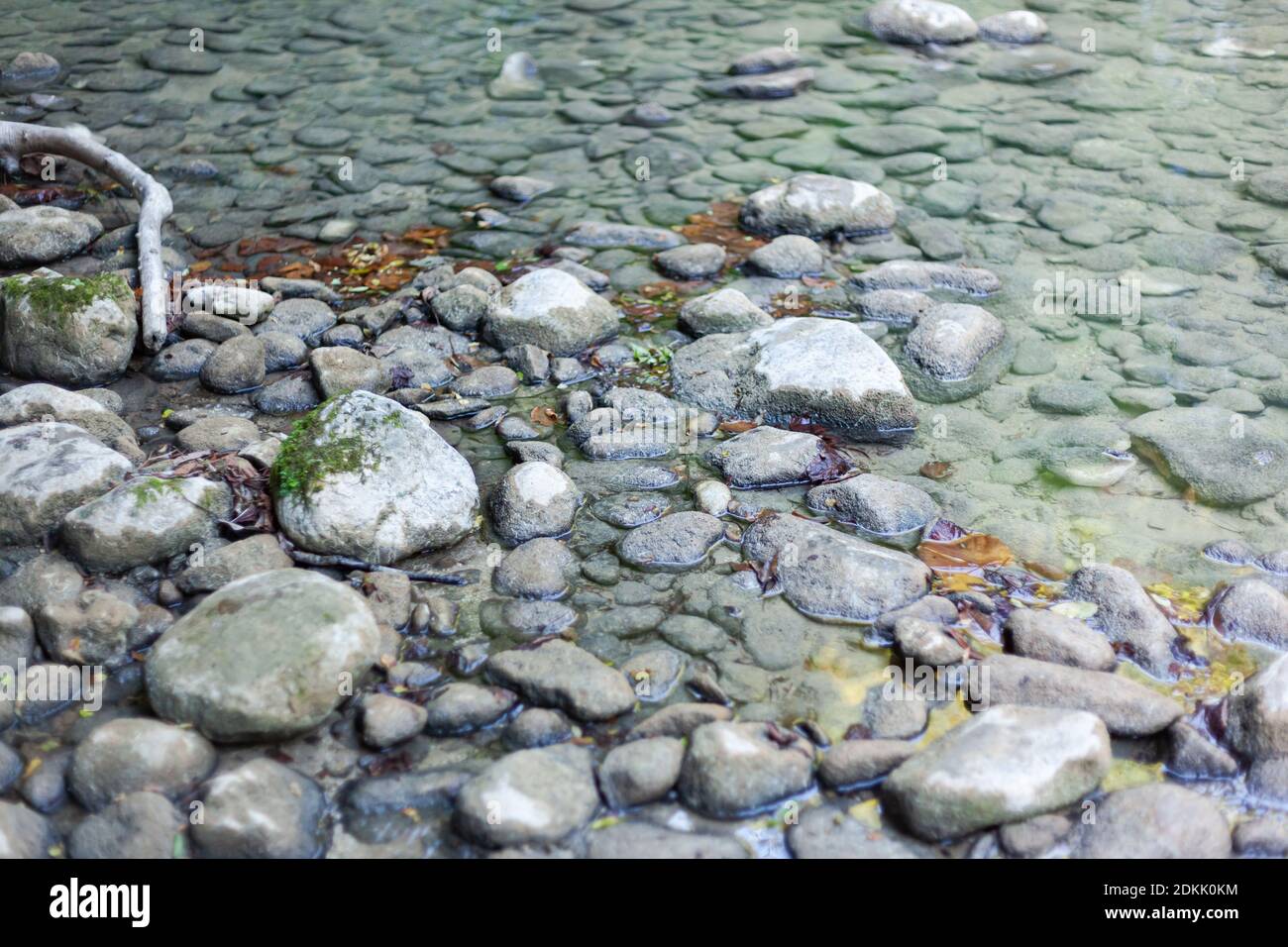 small river with gray stones Stock Photo - Alamy
