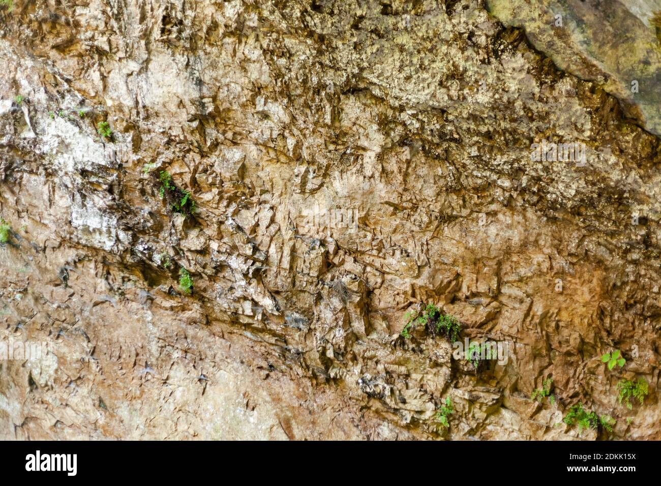 Black background yellow grey gray hi-res stock photography and images ...