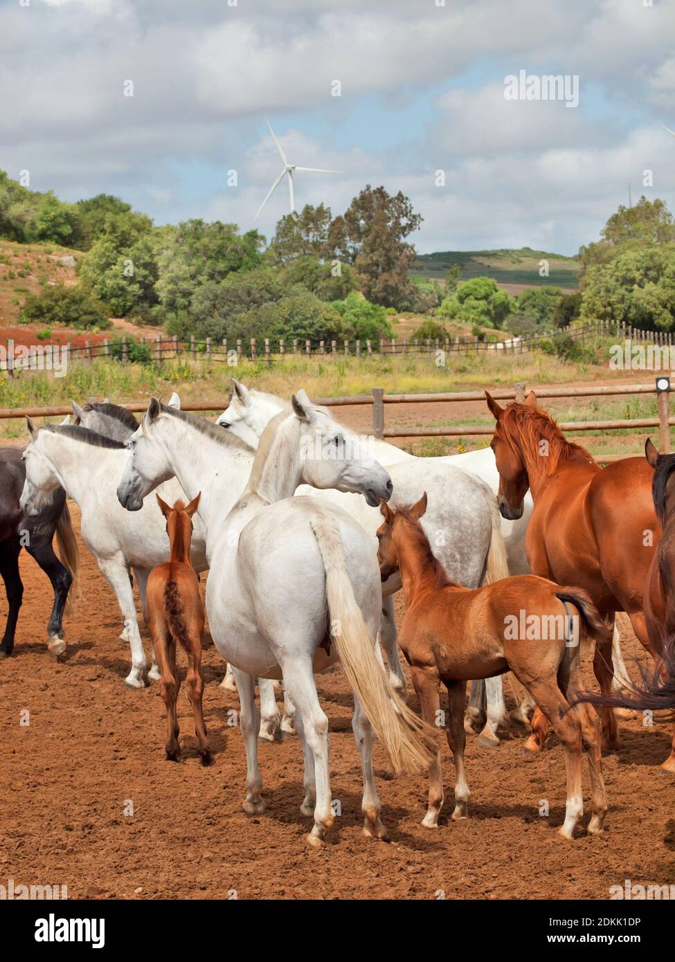Paddock Dam High Resolution Stock Photography and Images - Alamy