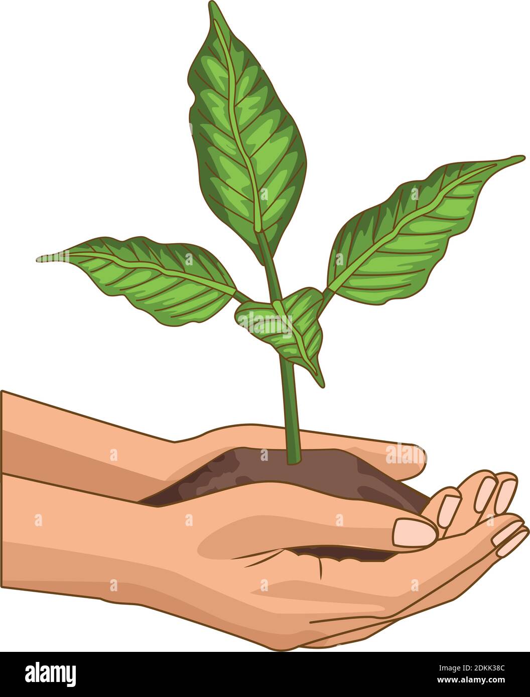hands human lifting plant nature vector illustration design Stock ...