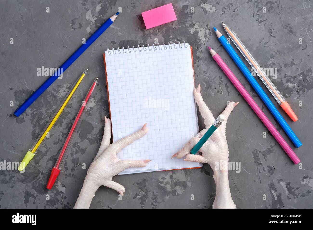 Chicken paw holds a pencil over a sheet of white paper for writing ...