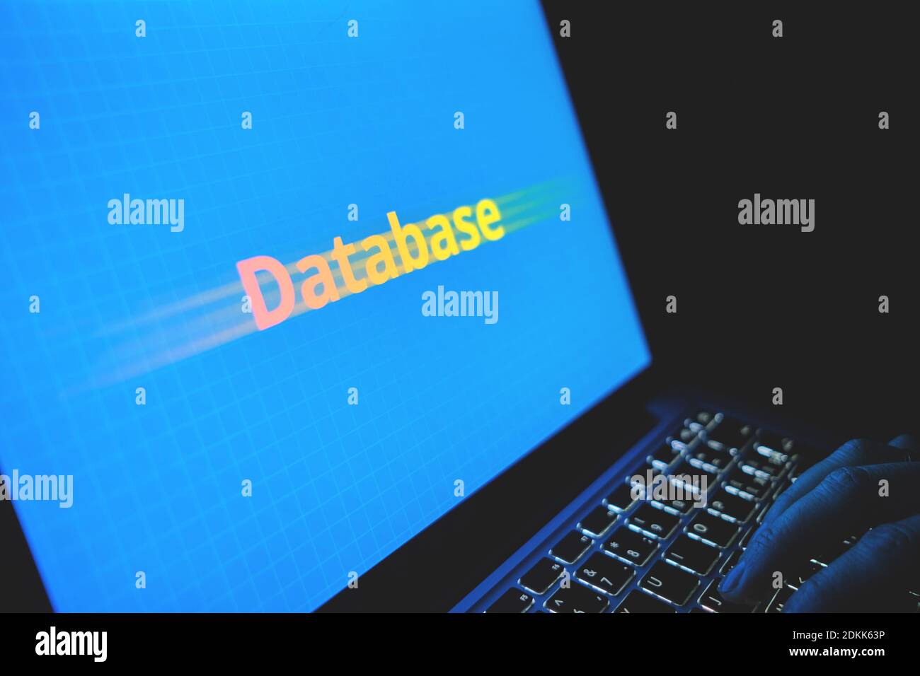 Modern system database for the development of complex software Stock ...