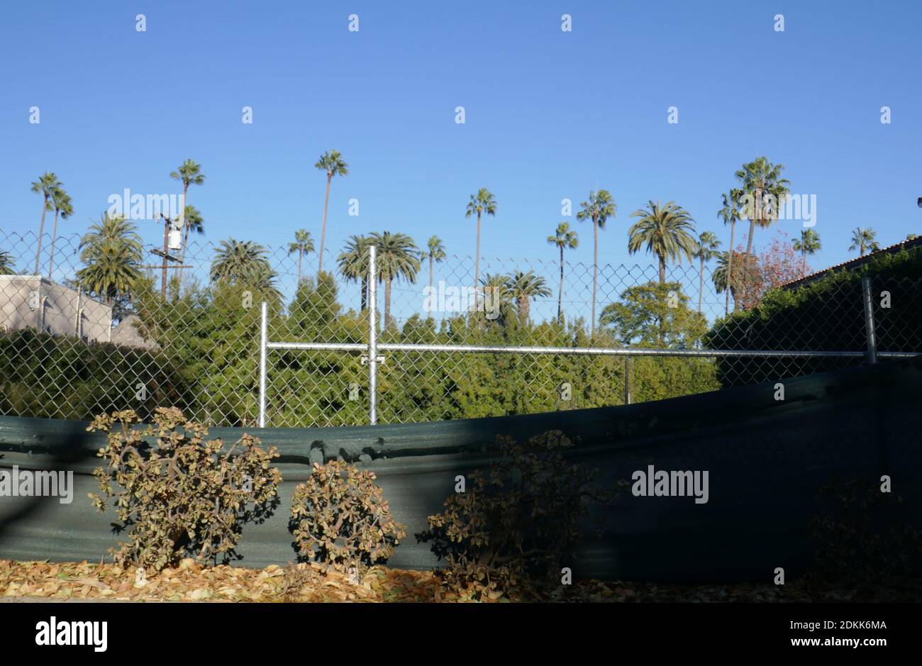 Beverly Hills, California, USA 15th December 2020 A general view of ...