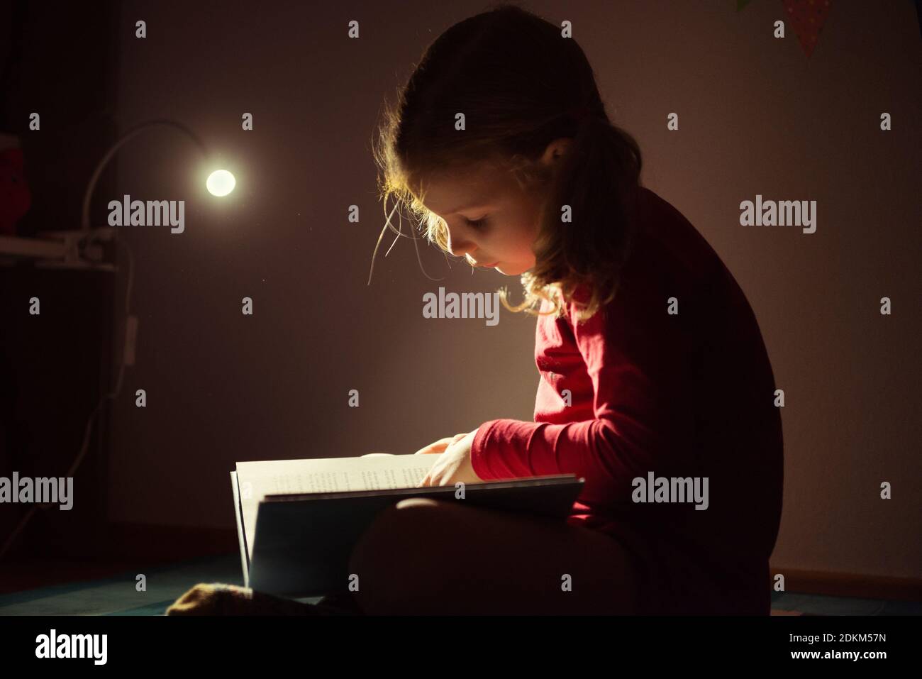 Side View Of Girl Reading Book At Home Stock Photo - Alamy