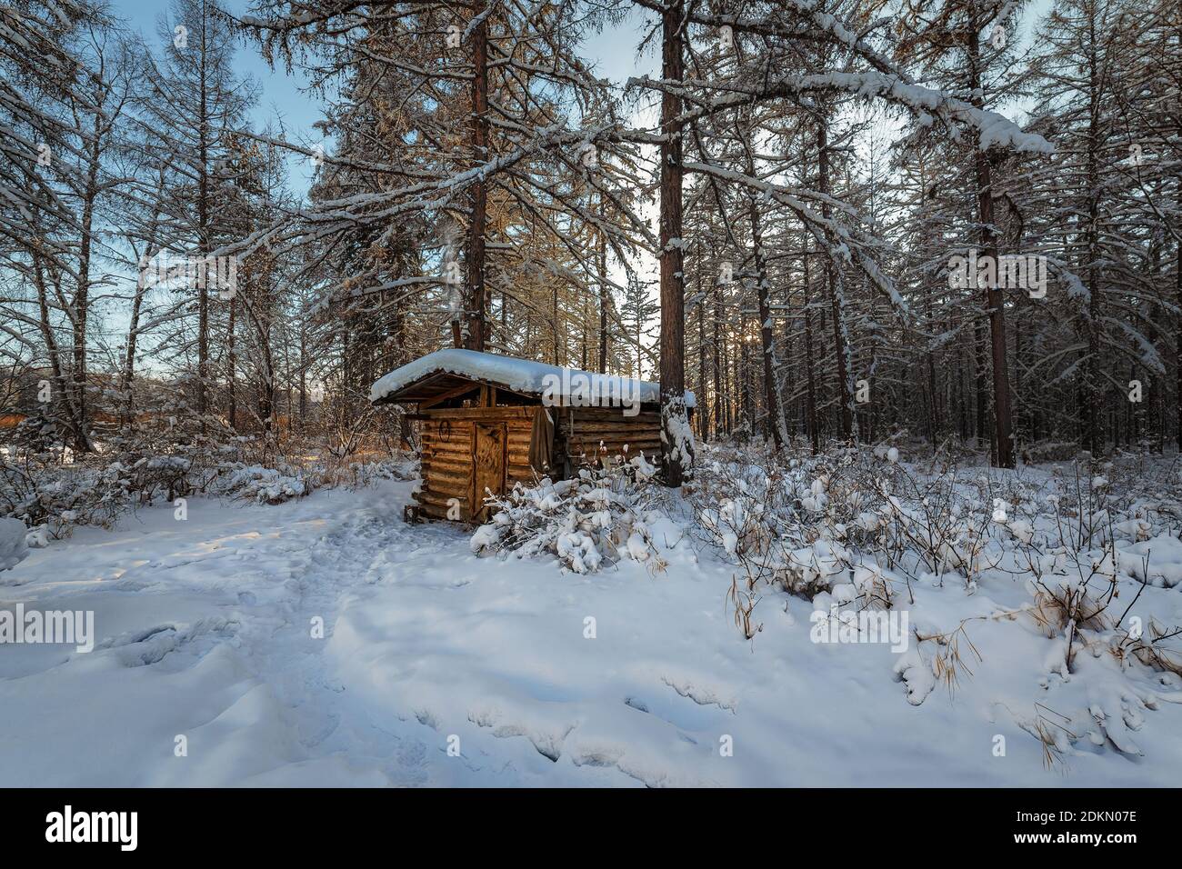 Hunting hut in the winter forest at the end of the day Stock Photo - Alamy