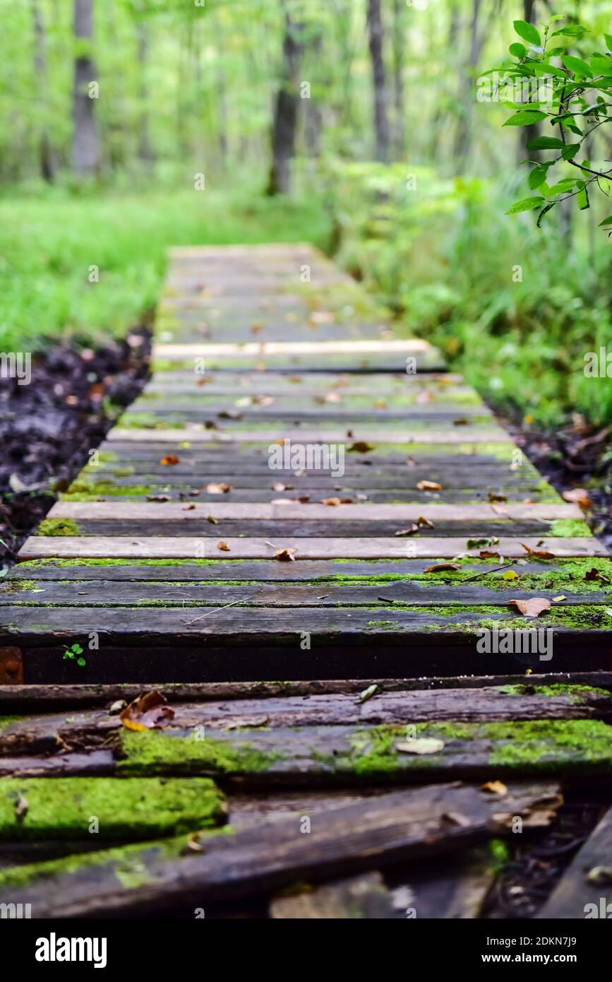 Long straight narrow footpath hi-res stock photography and images - Alamy