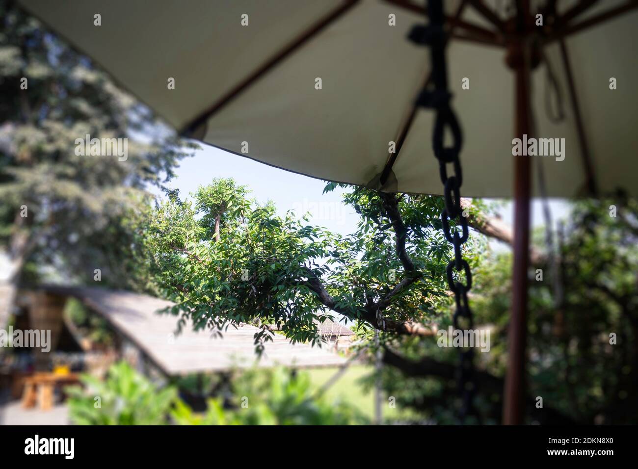 Exterior resort garden with wooden material, stock photo Stock Photo ...