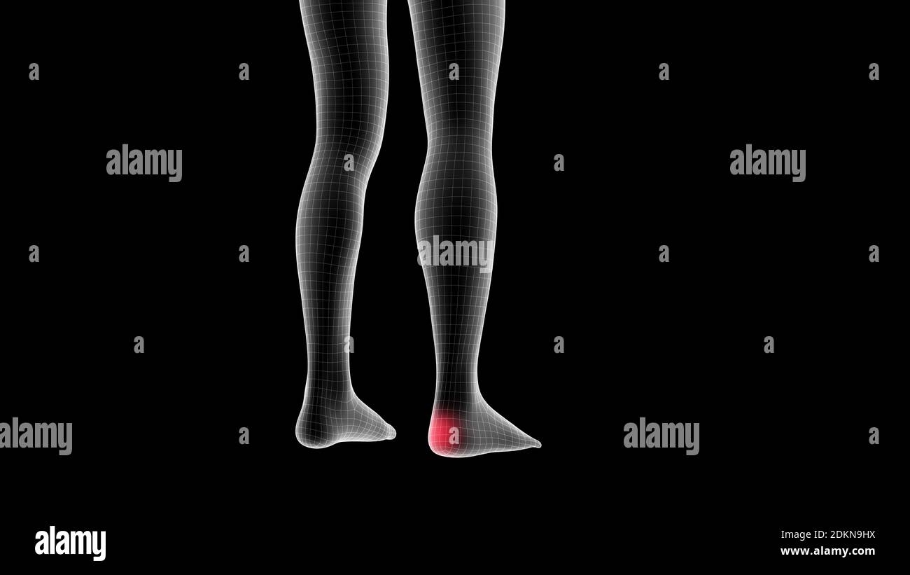 3d Full Body Scanner High Resolution Stock Photography and Images - Alamy