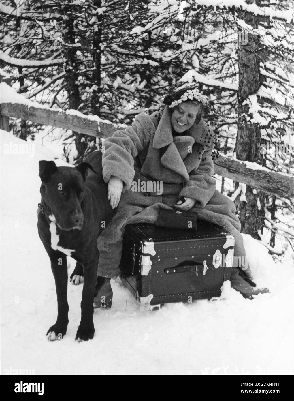 CICELY COURTNEIDGE with Dog in snow on set location candid during ...