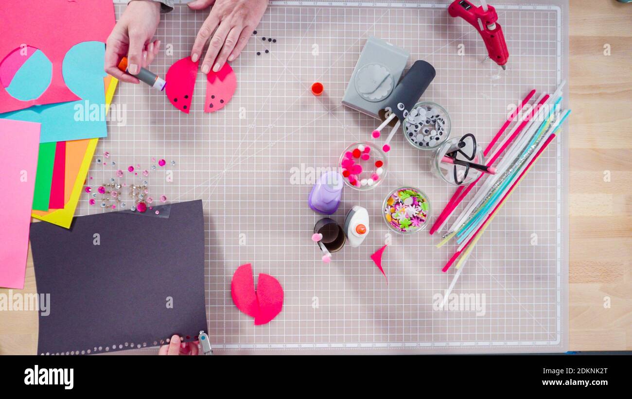 Flat lay. Kids papercraft. Making paper bugs out of the empty toilet ...