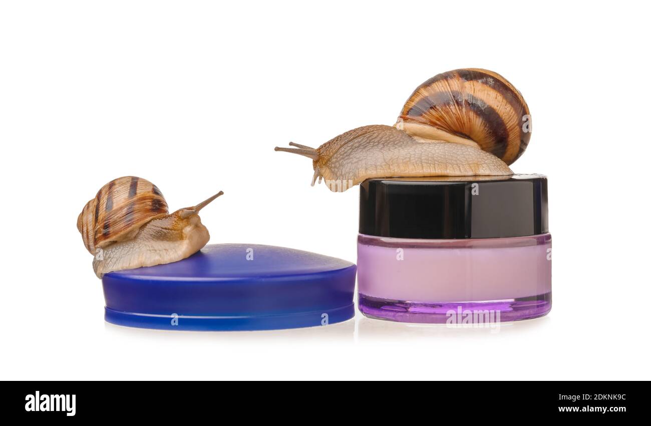 Grapevine snails and jar with cream on white background Stock Photo - Alamy