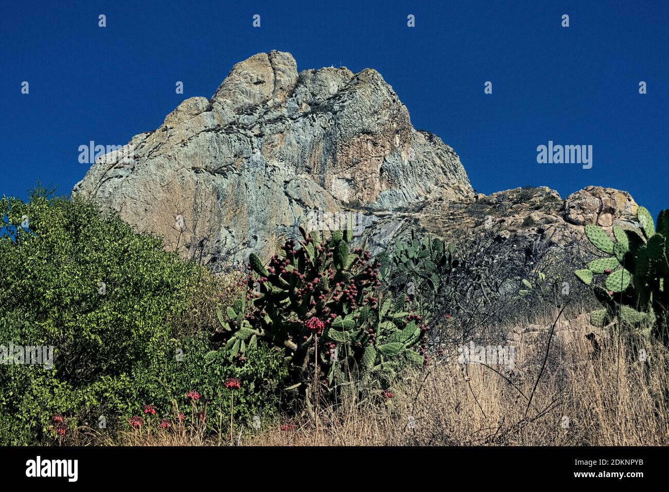View of the massive Peña de Bernal, UNESCO site and one of the world’s ...