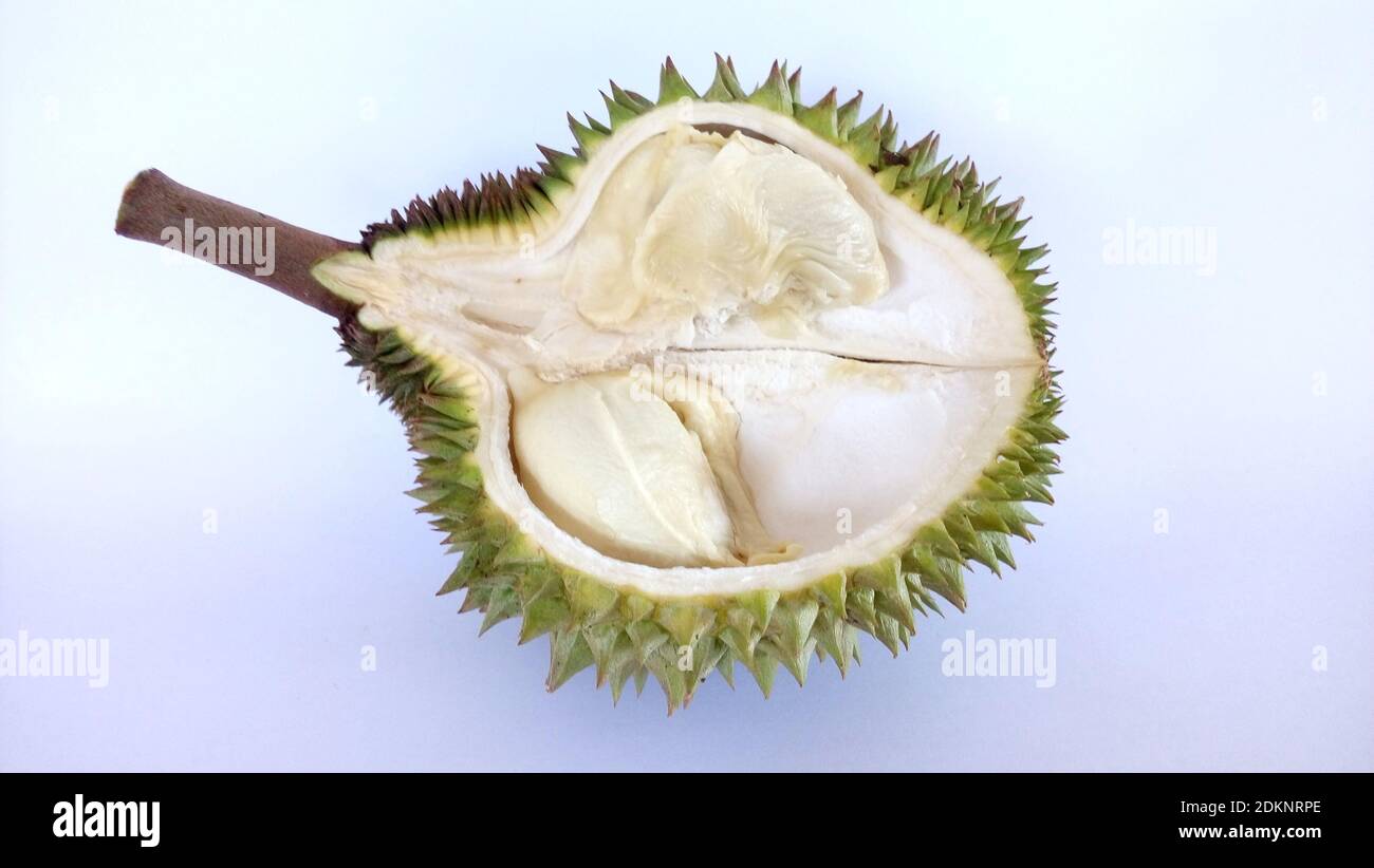 Cross section the fruit the durian hi-res stock photography and images ...