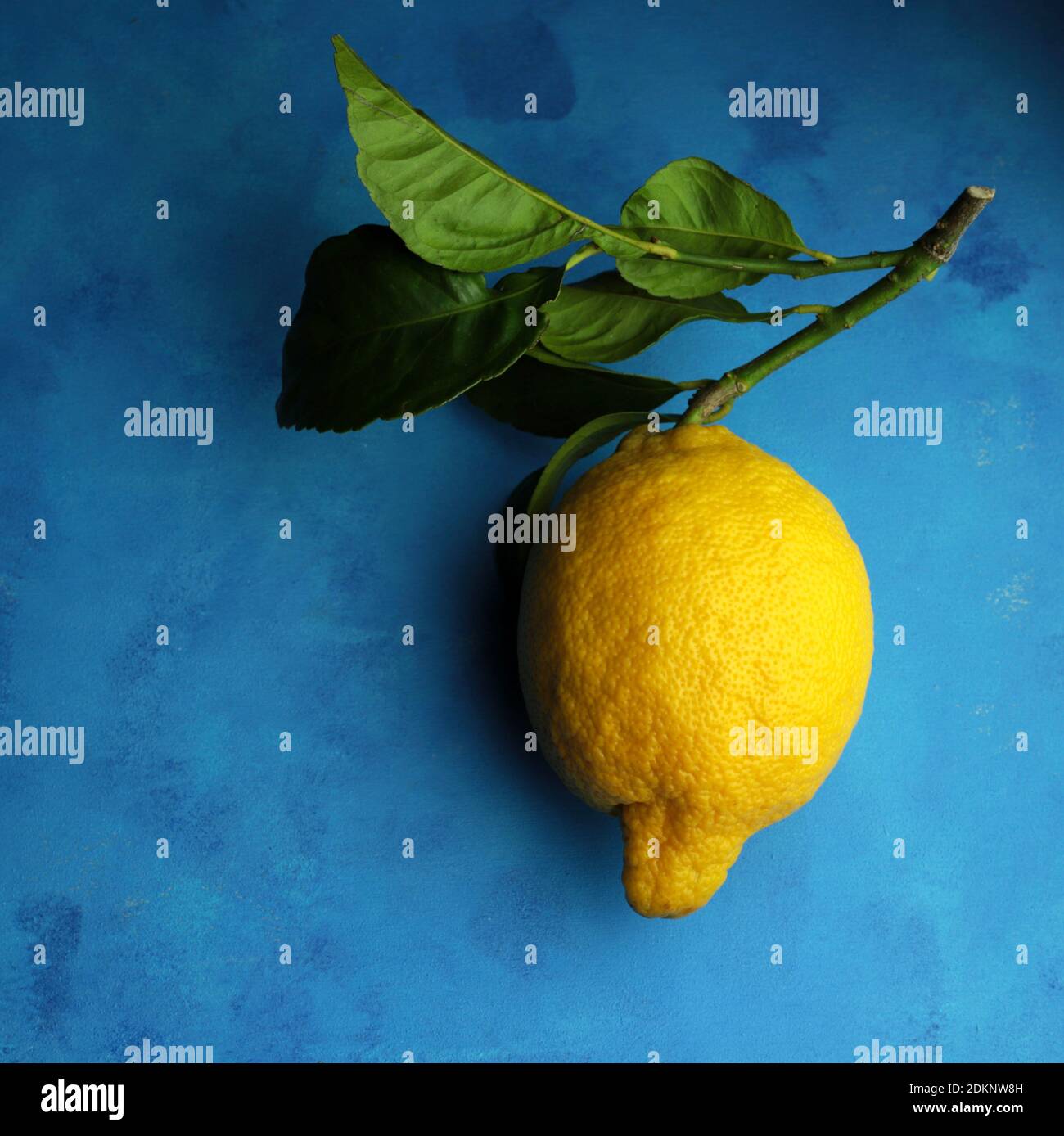 Fresh lemon with leaves isolated on blue background.Top view Stock ...