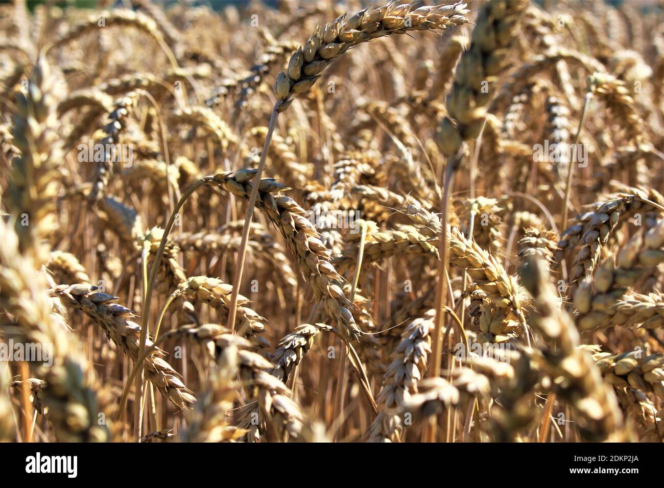 An image of land Stock Photo - Alamy