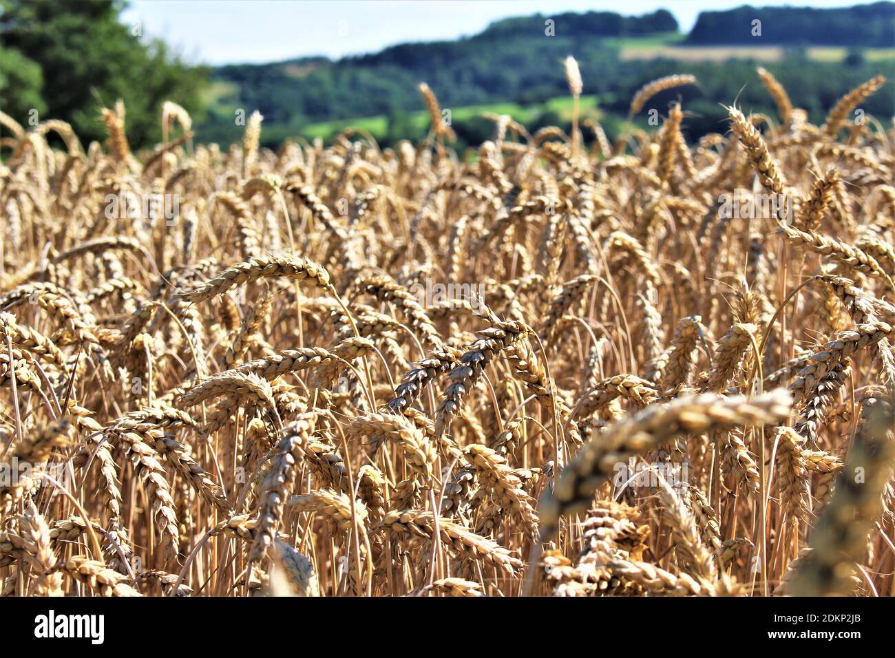 An image of land Stock Photo - Alamy