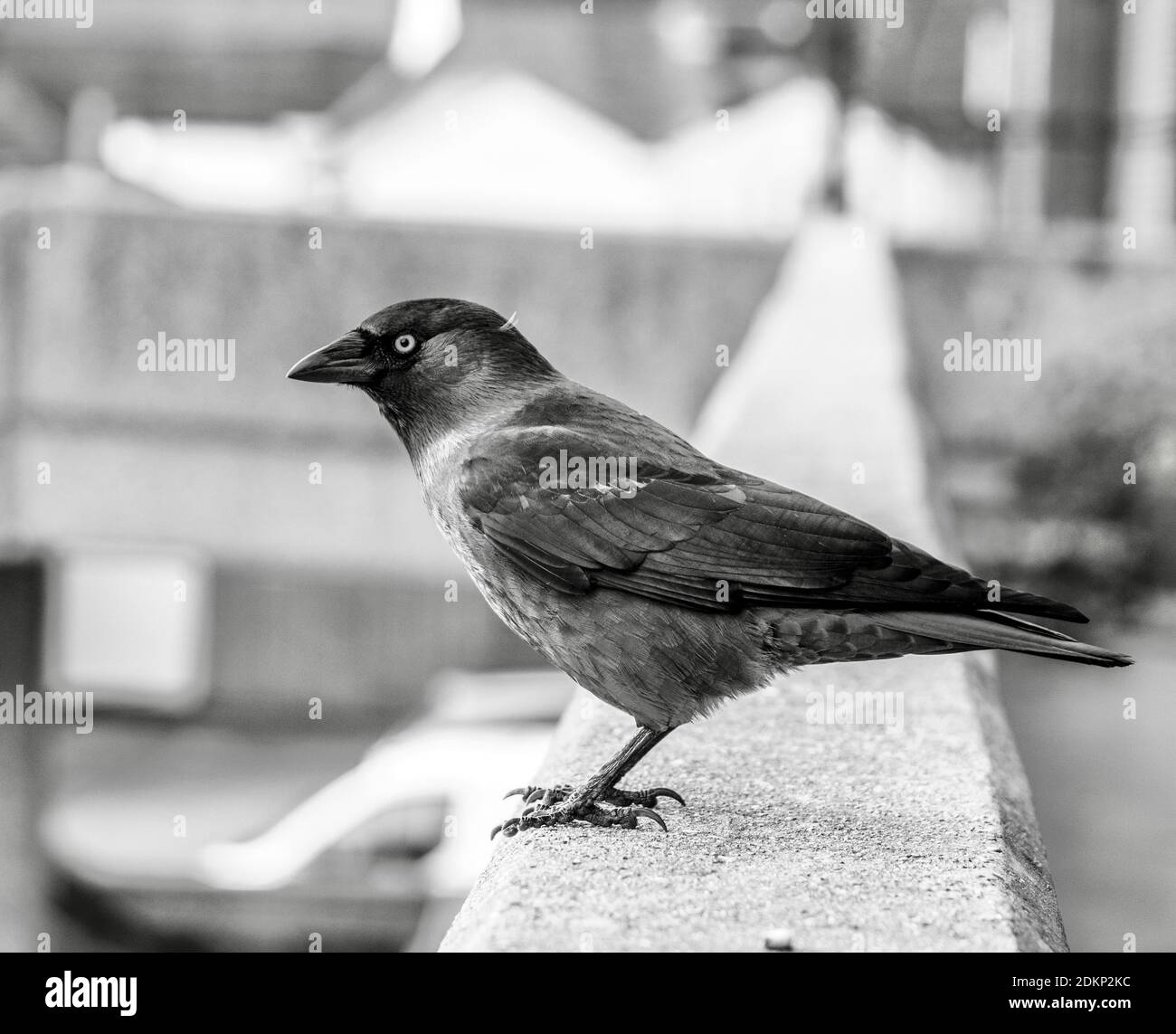 Rooftop ledge hi-res stock photography and images - Alamy