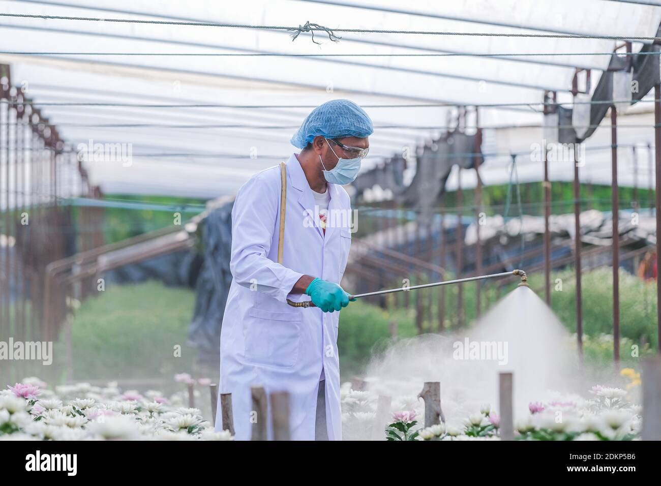 Man Spraying Pesticides High Resolution Stock Photography and Images ...