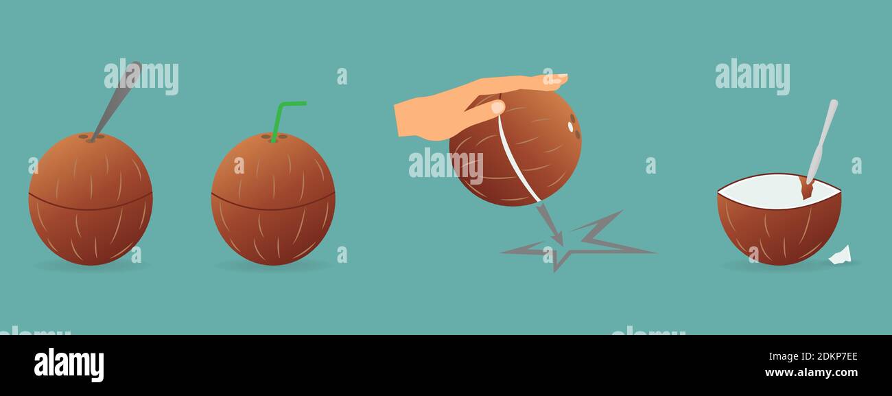 Fresh raw half shell Stock Vector Images - Alamy