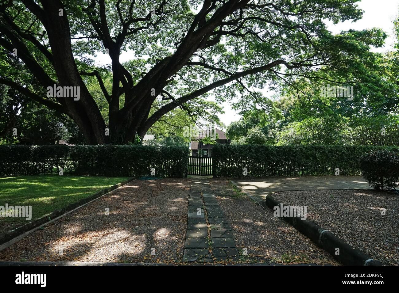 Natural landscape with Exterior architecture of traditional Northern ...