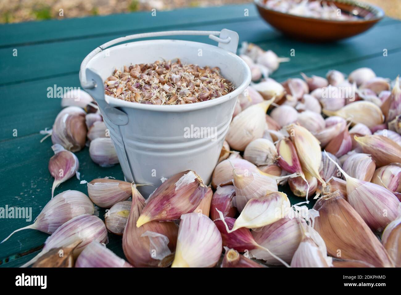 Garlic on the table and seeds in a miniature bucket Stock Photo - Alamy