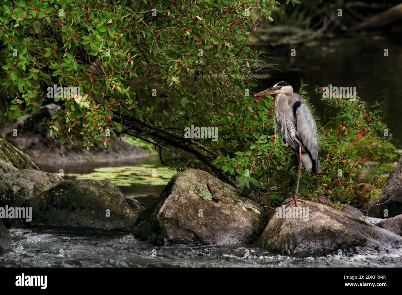 Gone Fishin High Resolution Stock Photography and Images - Alamy