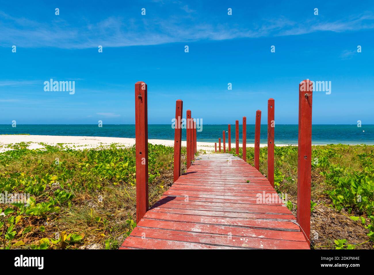 Timber boardwalk pathway hi-res stock photography and images - Alamy