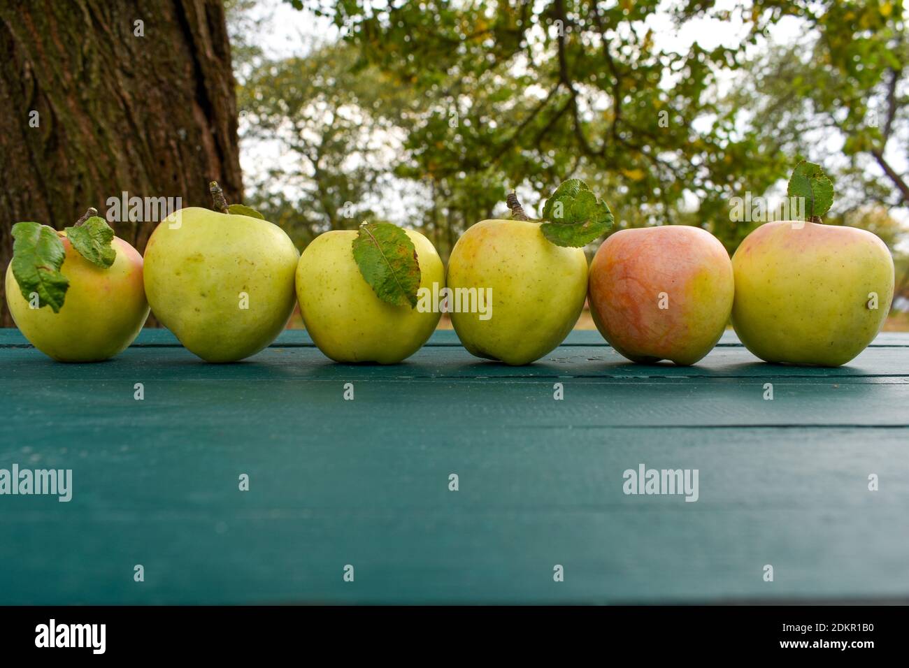 All natural apples hi-res stock photography and images - Alamy