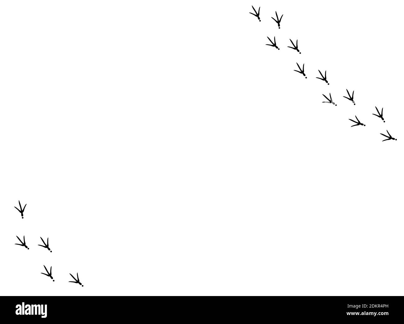 Bird Footprints Clipart Black