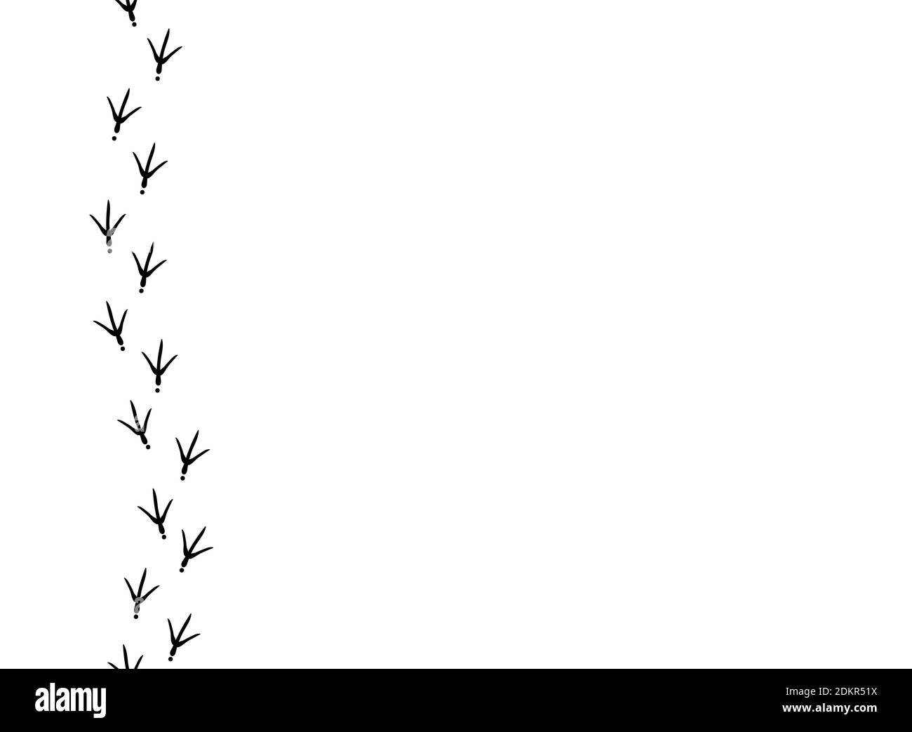 Bird Tracks Clipart