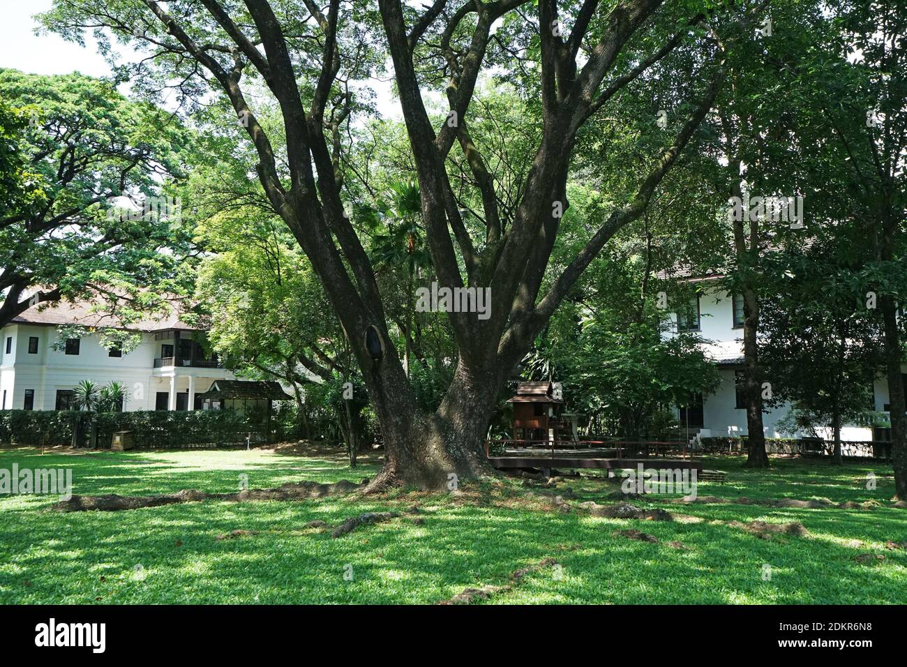 Thai architecture and exterior design of old Kalae house, Rice granary ...
