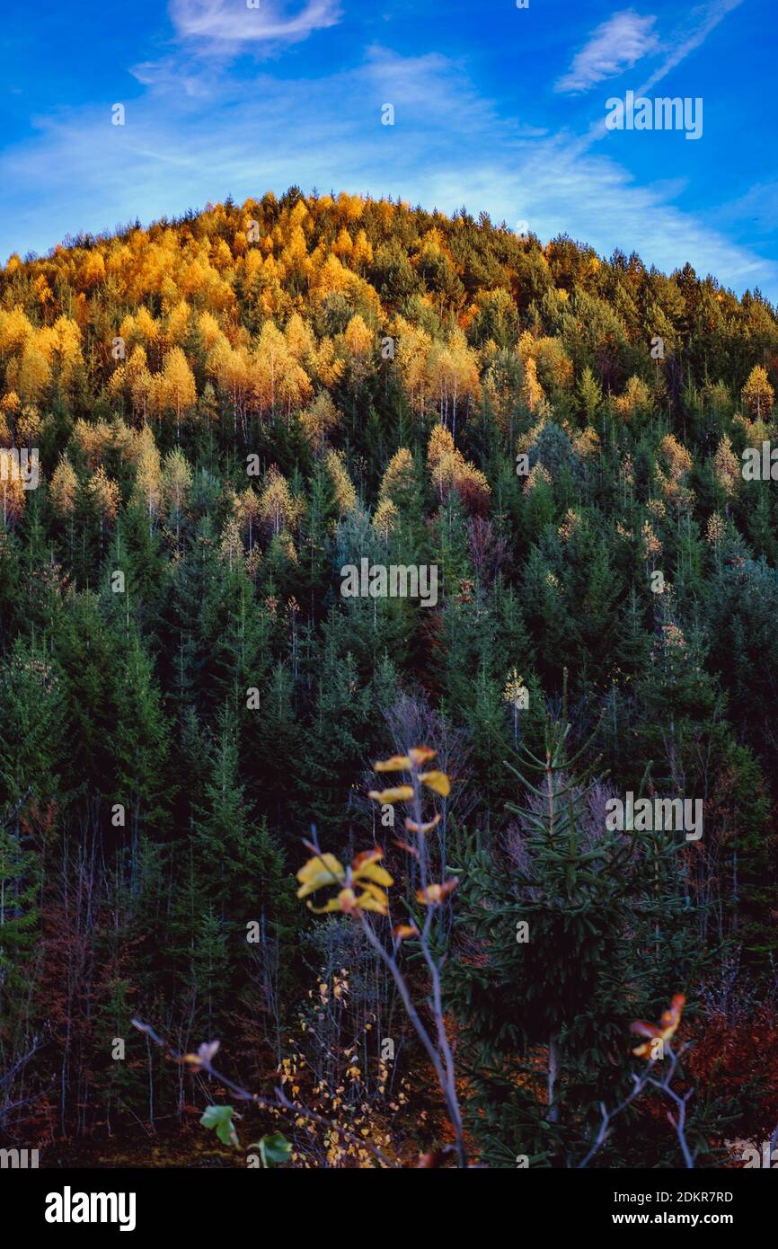 beautiful autumn landscapes in the Romanian mountains, Fantanele ...