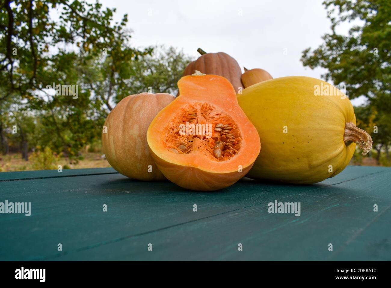 Half pumpkins hi-res stock photography and images - Alamy