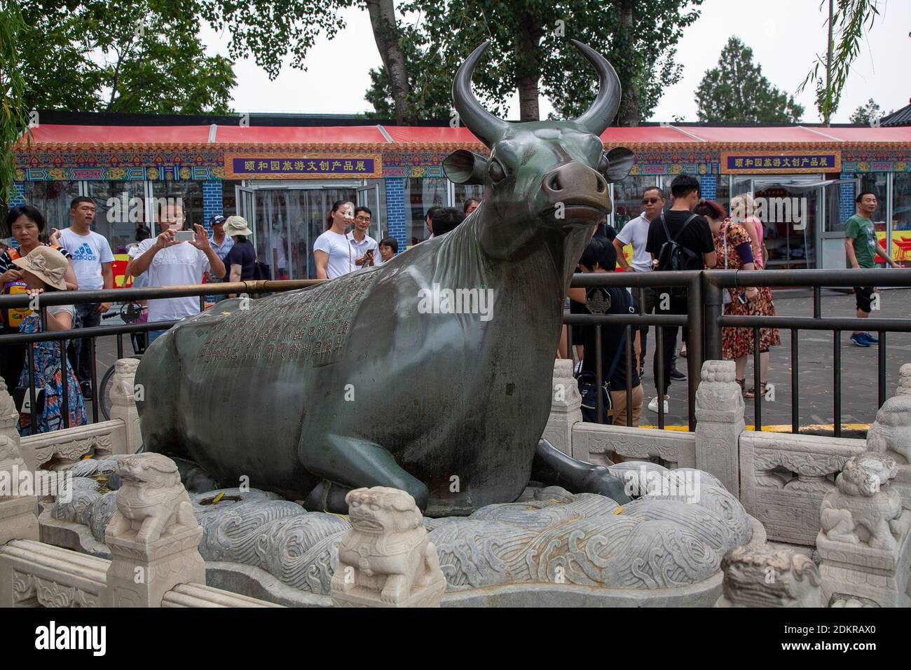 The Bronze Ox sculpture statue with Golden Ox Inscription in the Summer ...