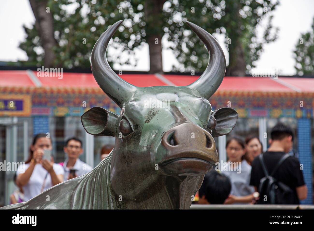 Bronze ox sculpture hi-res stock photography and images - Alamy