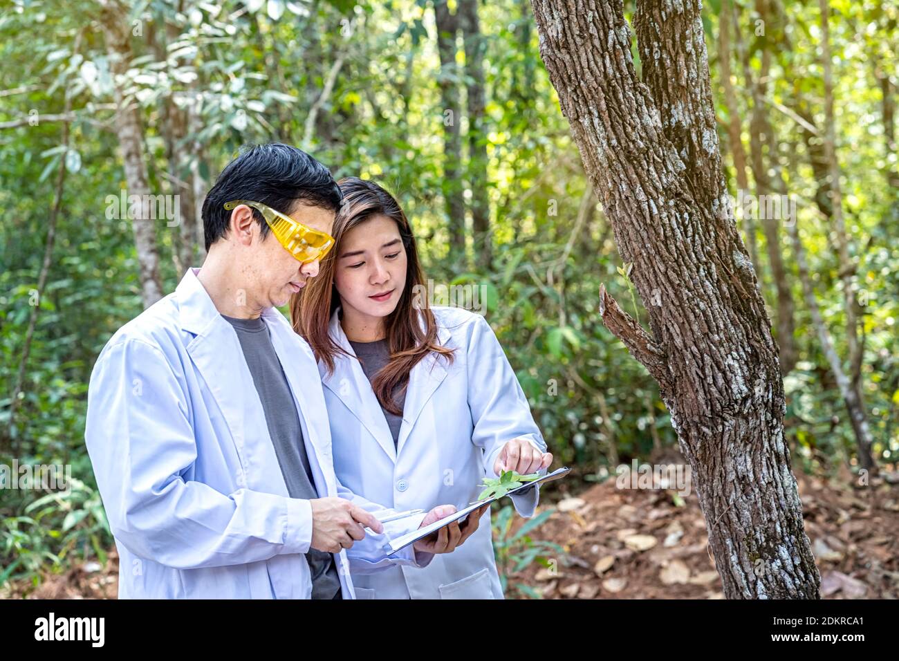 Asian scientist forest hi-res stock photography and images - Alamy