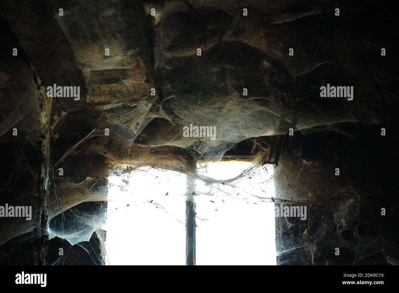 Huge Spiderwebs in abandoned old house Stock Photo - Alamy