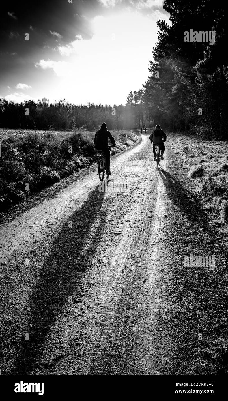Riding along a track hi-res stock photography and images - Alamy
