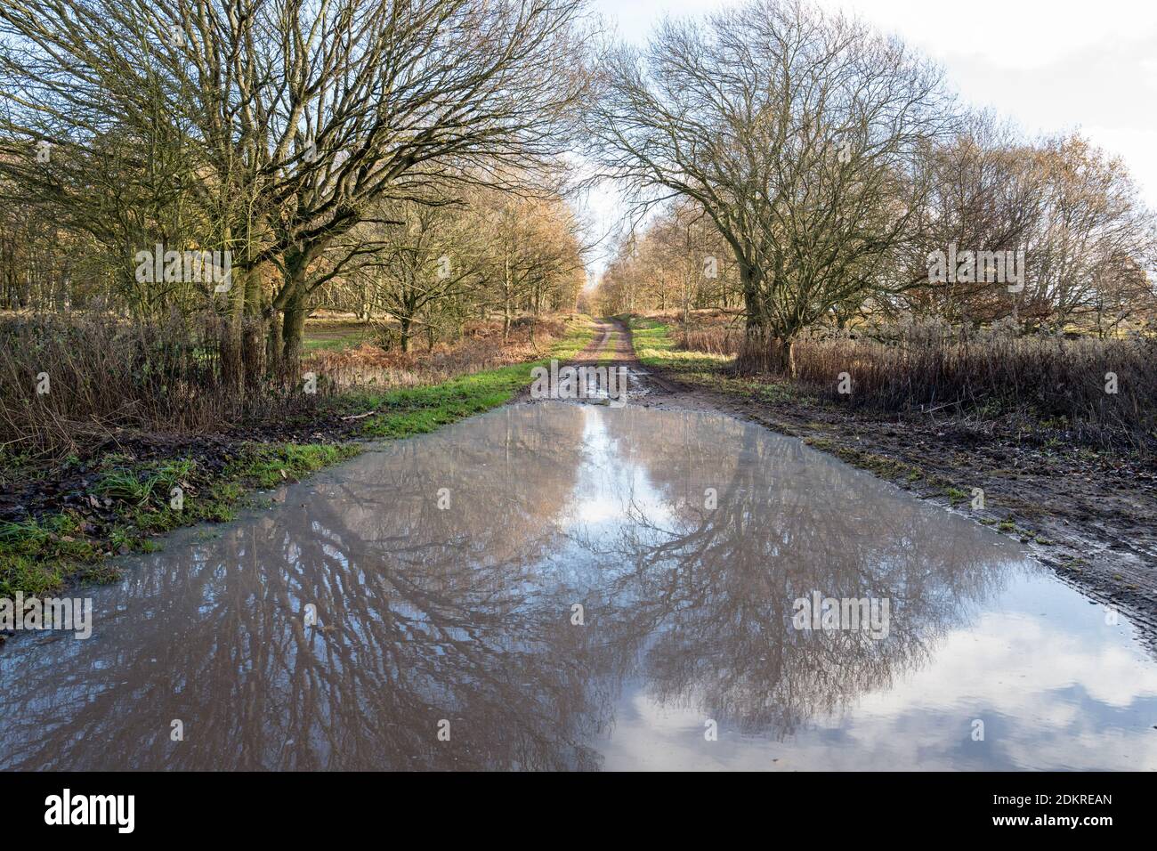 Large puddle of rain water hi-res stock photography and images - Alamy