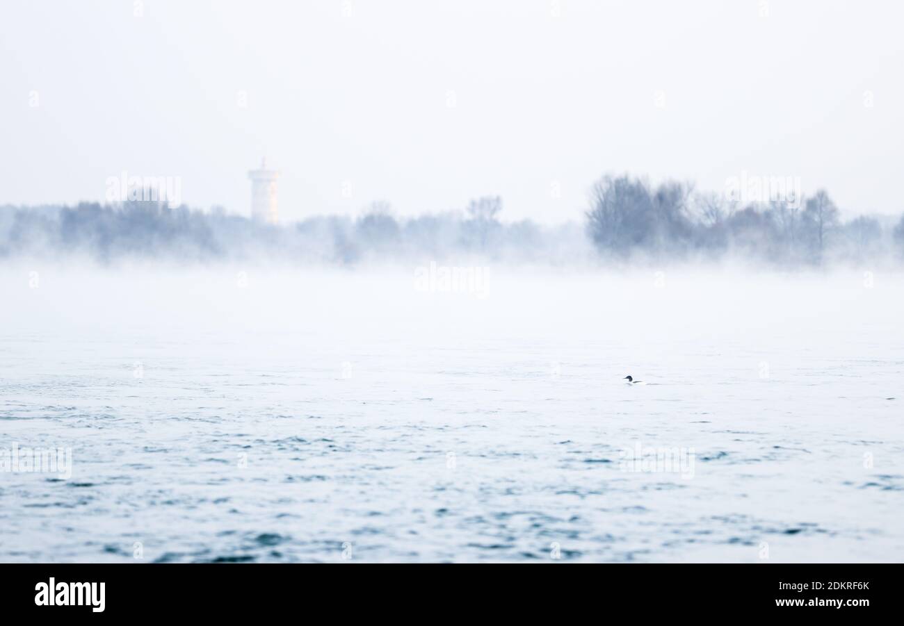 (201216) -- XINING, Dec. 16, 2020 (Xinhua) -- Photo taken on Dec. 16 ...