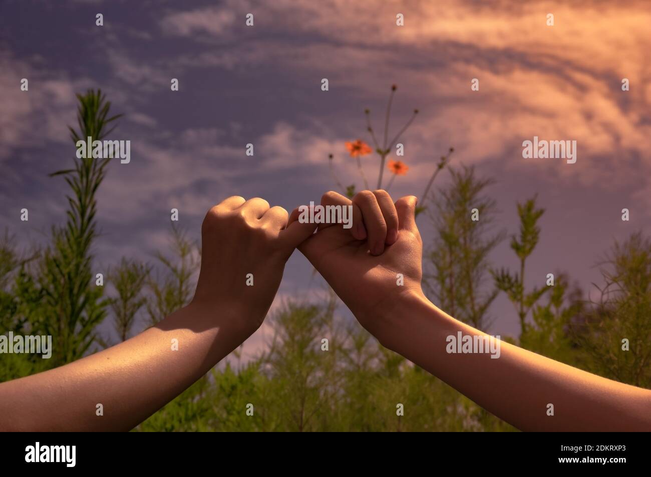 Pinky Promise High Resolution Stock Photography and Images - Alamy
