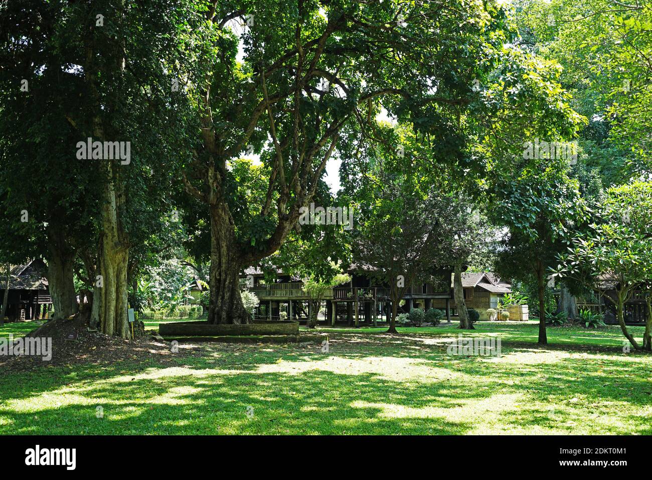 Thai architecture and exterior design of old Kalae house, Rice granary ...