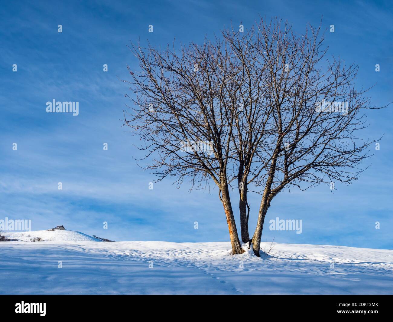 Winter landscape in the Italian alps Stock Photo - Alamy