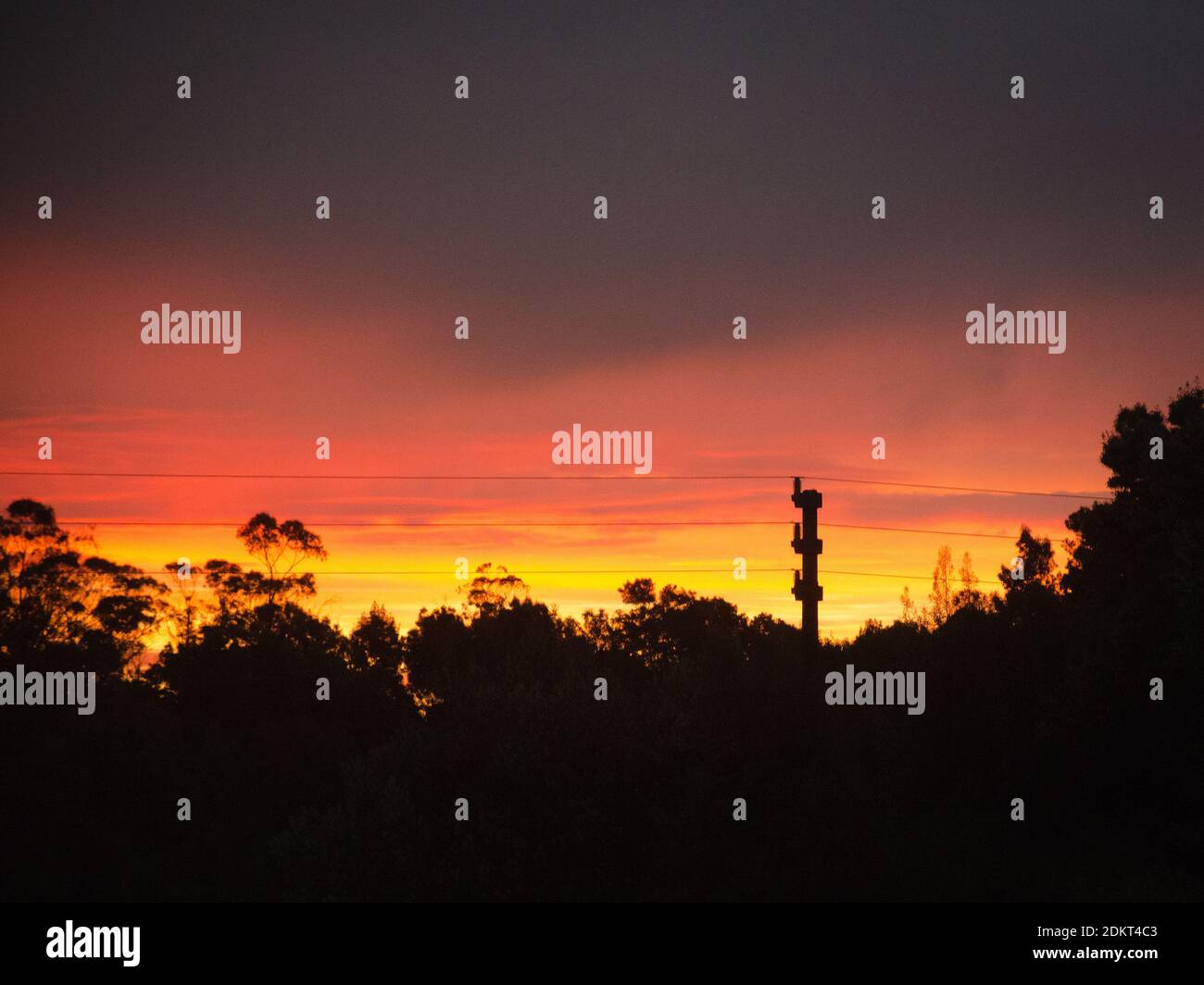 Sunset in the field. Summer sunset. Orange sun Stock Photo - Alamy