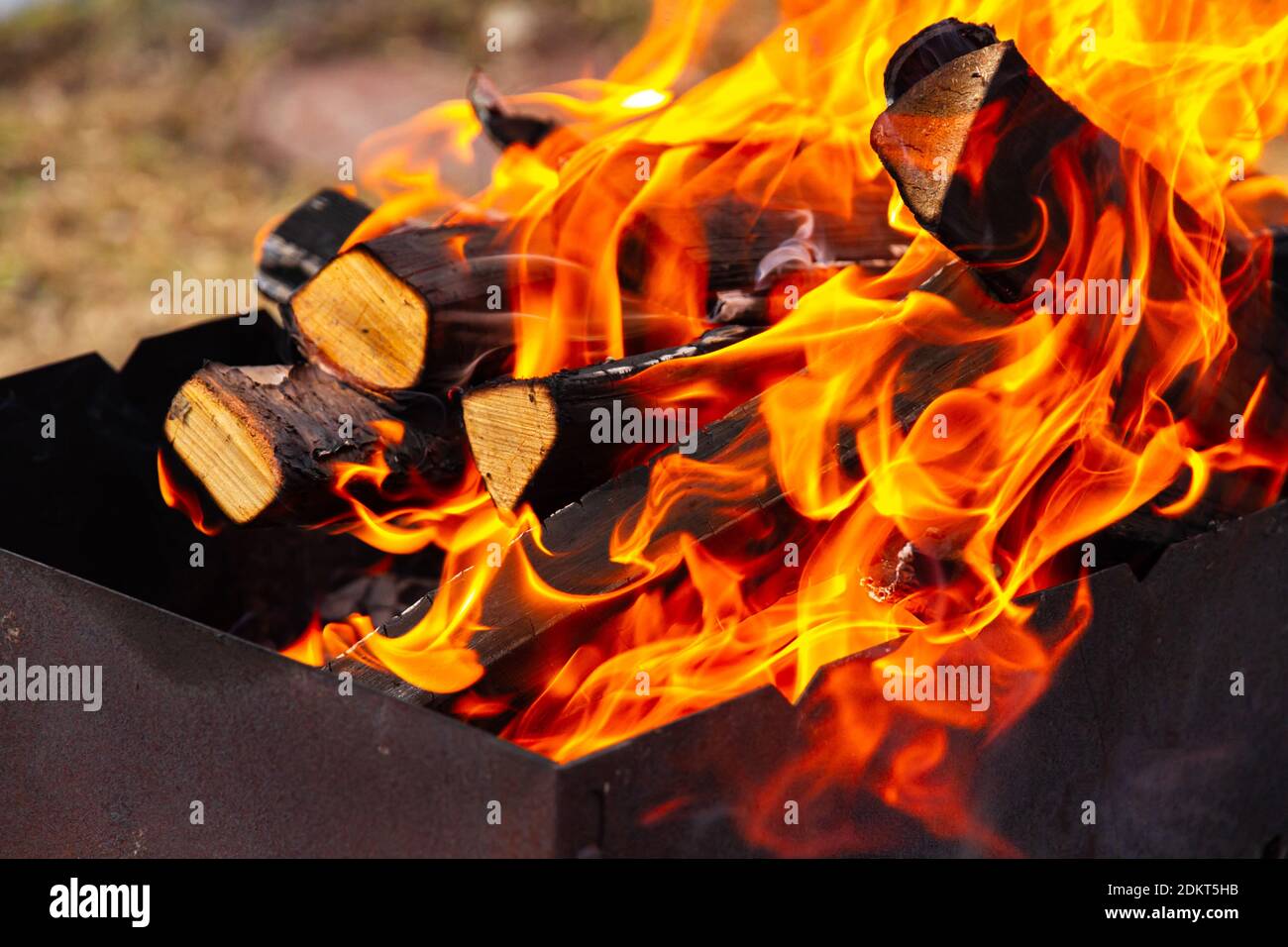 Firewood from birch hi-res stock photography and images - Alamy